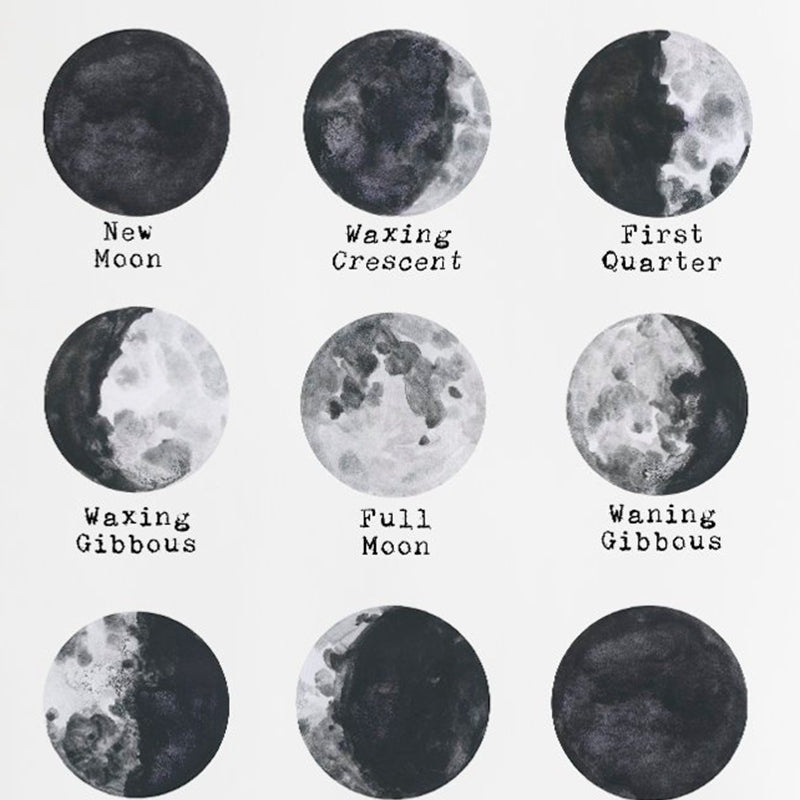 Space Lunar Cycle- Moon Phase Art Canvas